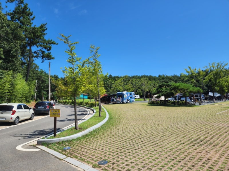 울산 오토캠핑장 황방산 생태야영장 리뷰사이트 예약 방법 부대시설 애견 동반 네이버 블로그