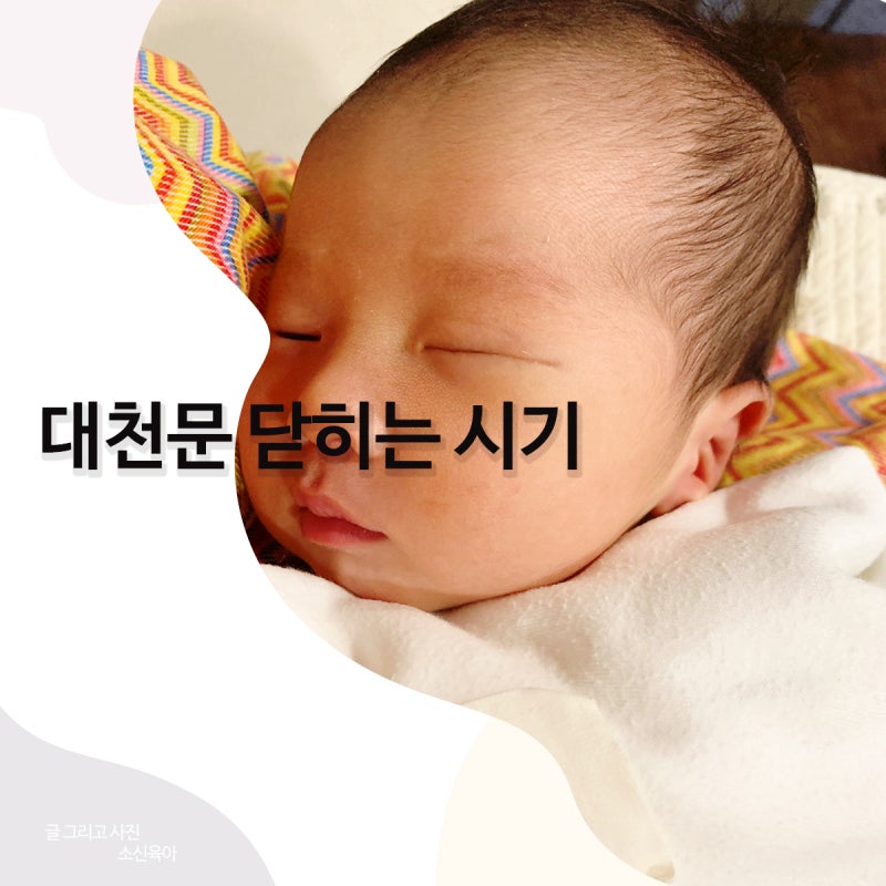 신생아 아기 대천문 소천문 닫히는 시기 움푹 위치 크기 네이버 블로그
