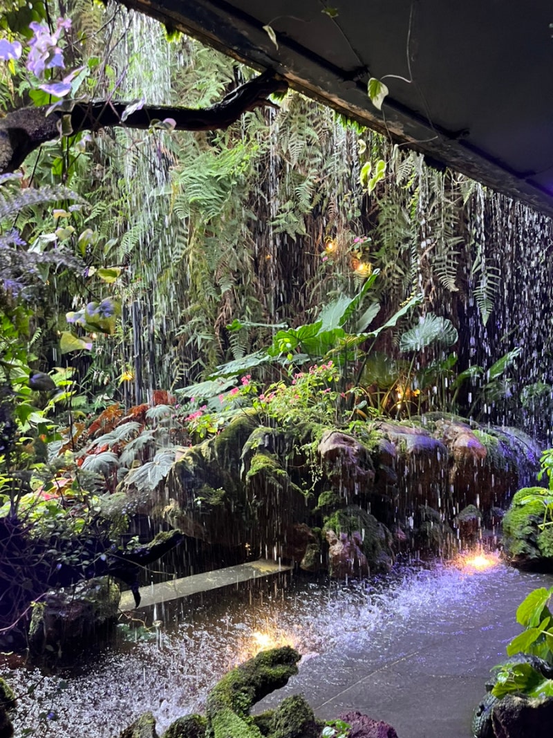 [싱가포르 여행] 가든스바이더베이 (정보, 입장료, 소요시간, 클라우드포레스트, 가는법, 아바타, 플라워돔) : 네이버 블로그