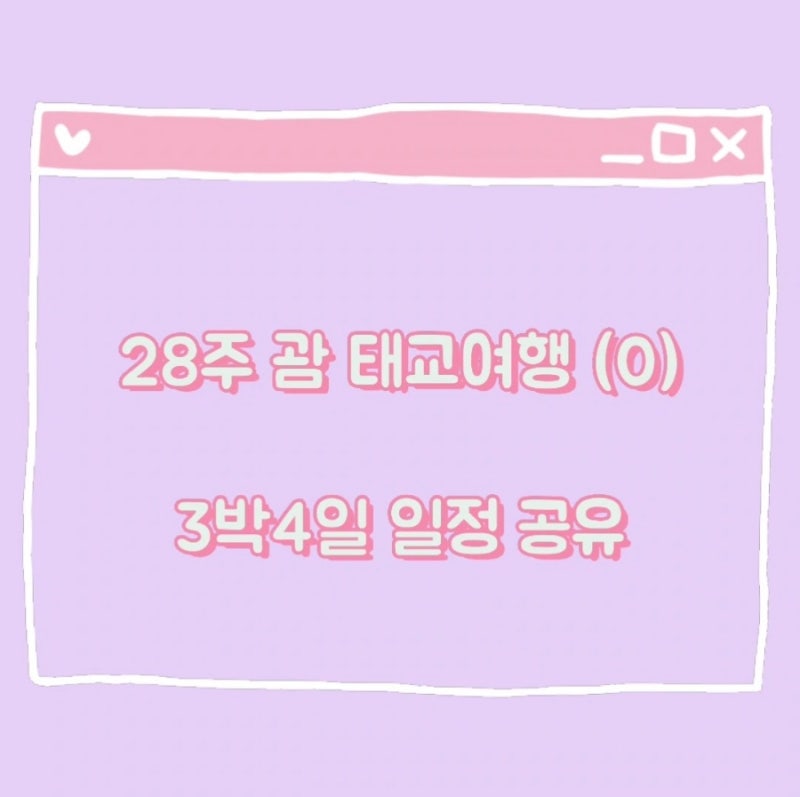 28주 괌 태교여행 준비0 3박 4일 일정 공유 네이버 블로그