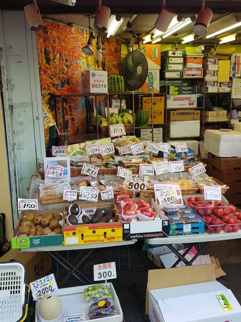 일본 입국서류 및 Vjw 패스트 트랙 정보 알려드려요 네이버 블로그