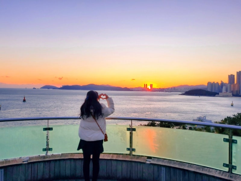 부산 동백섬 동백꽃 누리마루 외 볼거리 7 해운대 여행코스 꿀팁 네이버 블로그