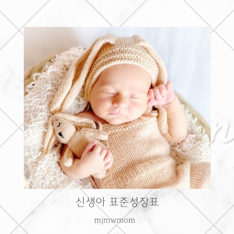표준성장표 기준 신생아 키 체중 몸무게 증가 체크 네이버 블로그
