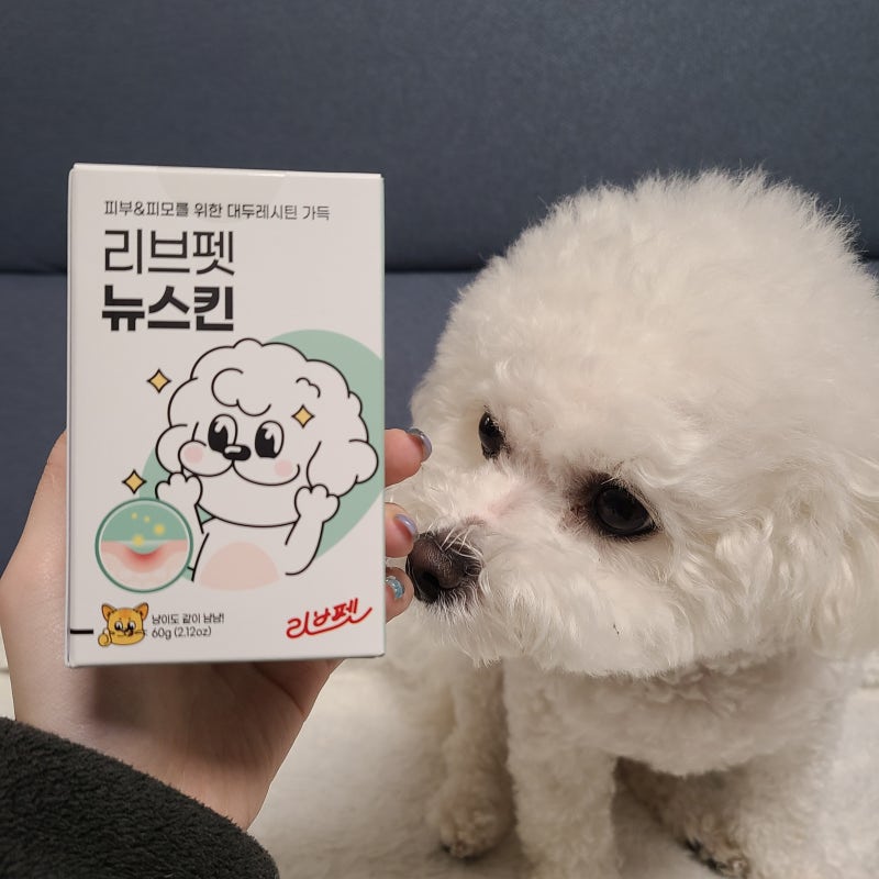 강아지 비듬 피부 각질 탈모에 도움을 주는 리브펫 피부영양제피부병 예방 및 관리 네이버 블로그