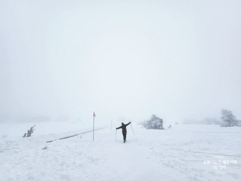한라산 등산코스 추천 어리목에서 윗세오름 영실코스 겨울산행 네이버 블로그