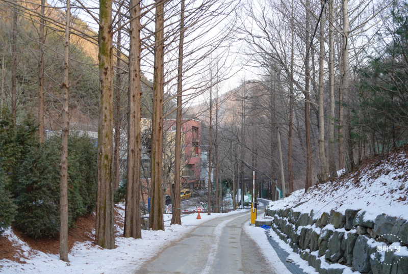충남 오토캠핑장 대전 장태산자연휴양림 야영장 캠핑데크 리뷰와 예약 방법 네이버 블로그