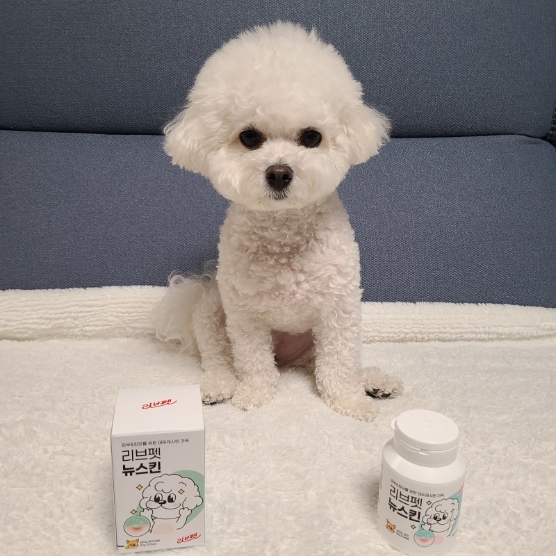 강아지 비듬 피부 각질 탈모에 도움을 주는 리브펫 피부영양제피부병 예방 및 관리 네이버 블로그