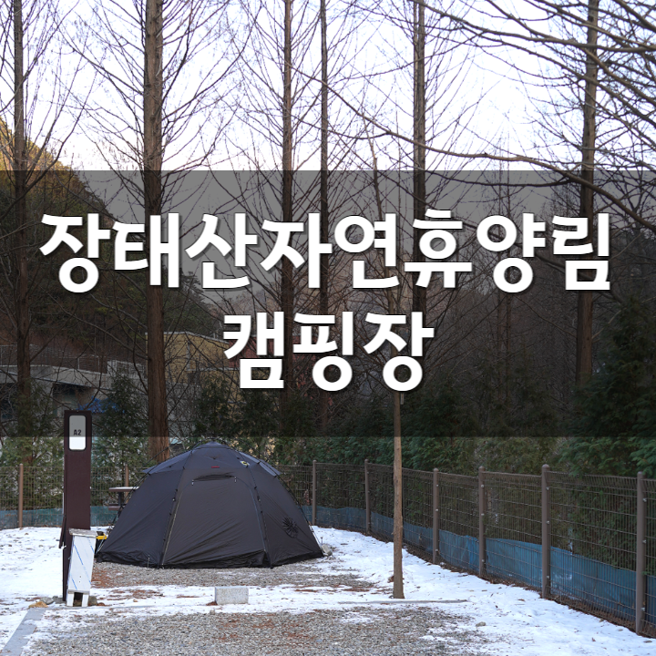 충남 오토캠핑장 대전 장태산자연휴양림 야영장 캠핑데크 리뷰와 예약 방법 네이버 블로그