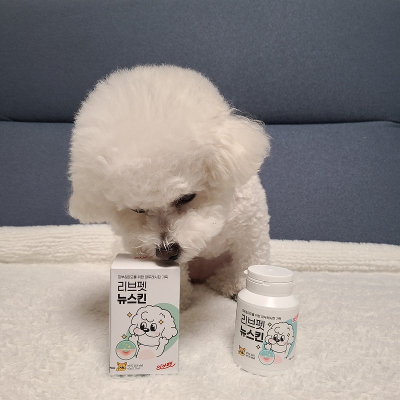 강아지 비듬 피부 각질 탈모에 도움을 주는 리브펫 피부영양제피부병 예방 및 관리 네이버 블로그