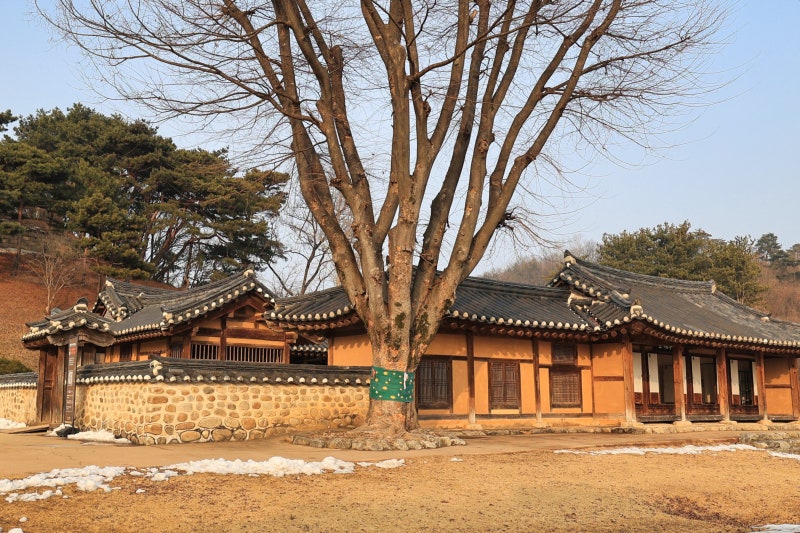 남양주 여행 아이와 가볼 만한 곳 다산 정약용 유적지 생태공원 실학박물관 네이버 블로그