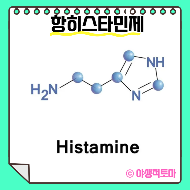 항불안제 총정리 데파스정 부스파정 아디팜정 성분 효능 부작용feat 벤조디아제핀계 부스피론 항히스타민제