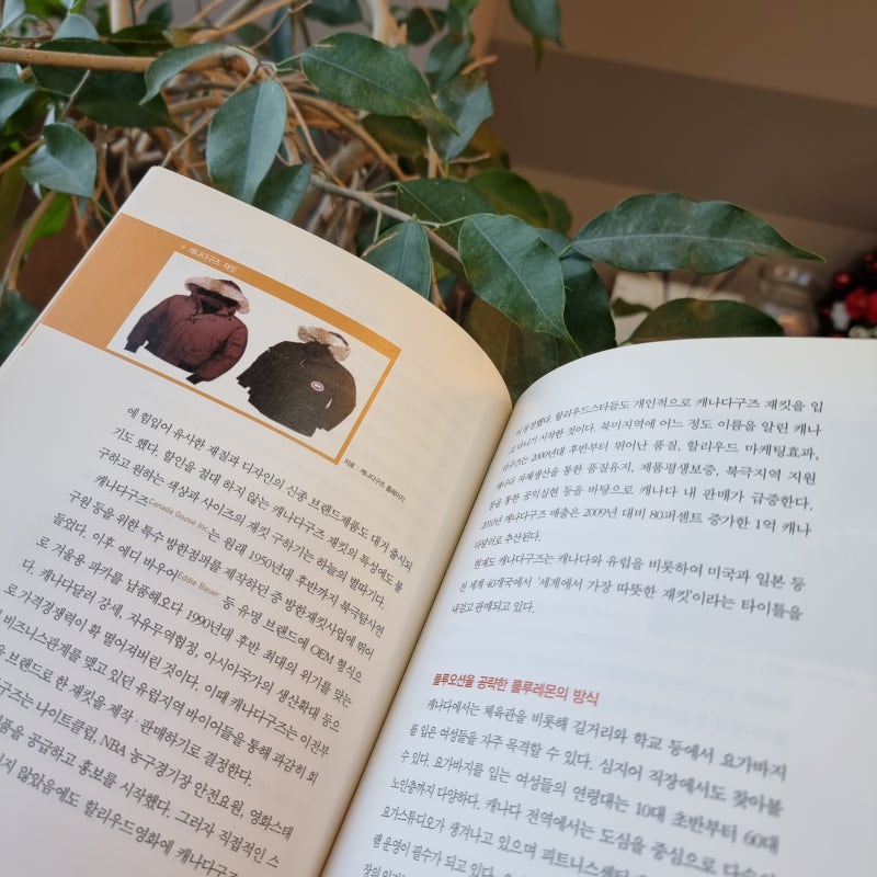 학점은행제 진행 준비방법 및 비용 절감방법 ※주의사항※ 네이버 블로그