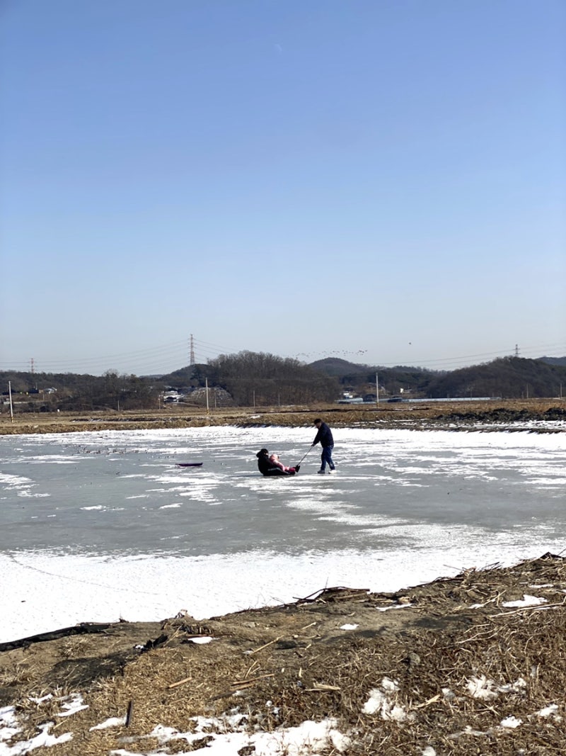 시흥 주말에 뭐하지 무료 썰매장 있는 연꽃테마파크 아이와 가볼만한곳 네이버 블로그