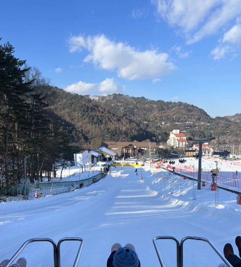 평창 용평리조트 썰매장 발왕산 케이블카 용평 베르데힐 네이버 블로그