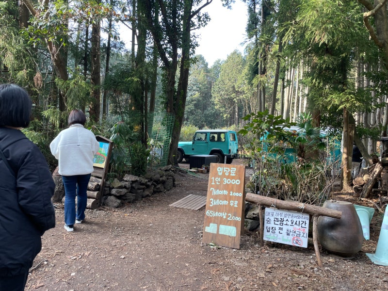 제주도 여행 동부 가볼 만한 곳 멋진 편백나무와 가득한 포토존 비밀의 숲 네이버 블로그