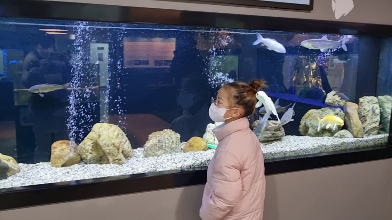 경기도 융합과학교육원 수원 실내 유치원 아이와 가볼만한곳 초등학생 애들데리고갈만한곳 네이버 블로그