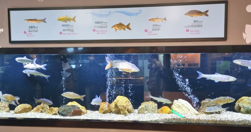 경기도 융합과학교육원 수원 실내 유치원 아이와 가볼만한곳 초등학생 애들데리고갈만한곳 네이버 블로그