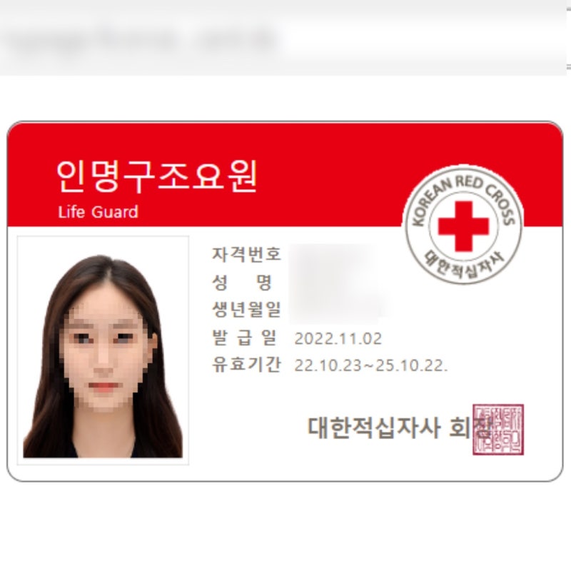 대한적십자 라이프가드 자격증 취득 후기 및 꿀팁 대방출 잘 버텼다 네이버 블로그