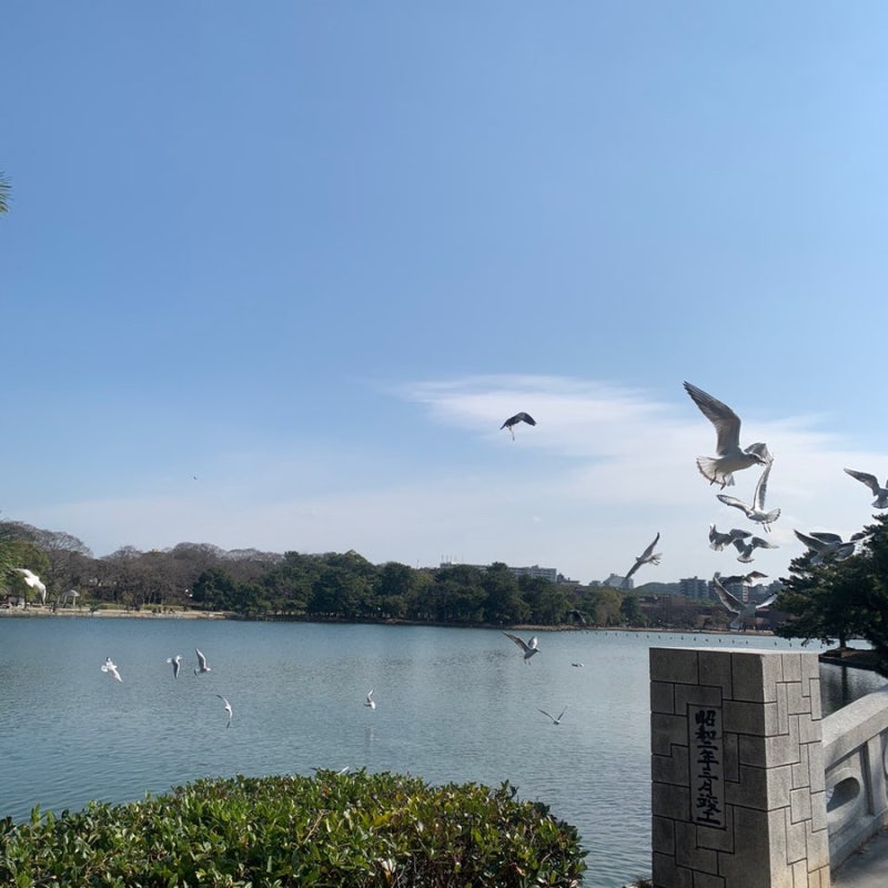 후쿠오카 하카타역 볼거리 가볼 만한 곳 모모치해변 오호리공원 등 네이버 블로그