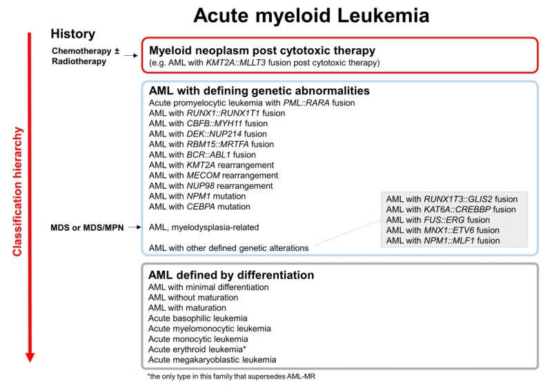 급성골수성백혈병(AML), WHO 분류 체계(제5판) : 네이버 블로그