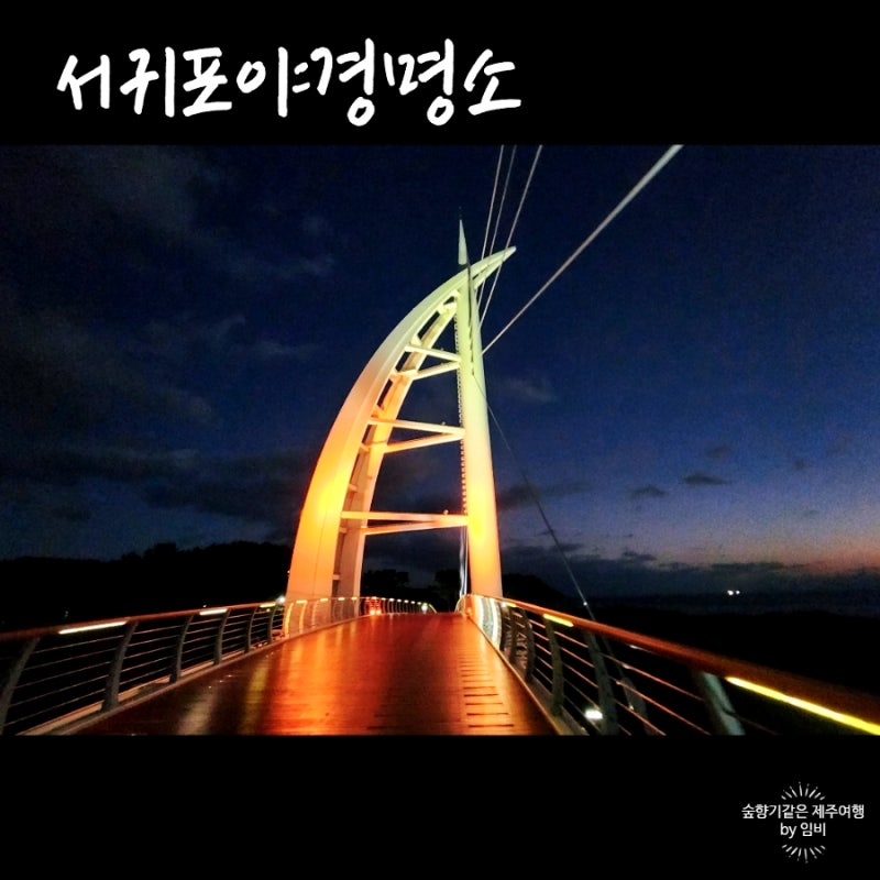 제주도 밤에 가볼만한곳 서귀포항 새섬 새연교 서귀포 야경명소 네이버 블로그