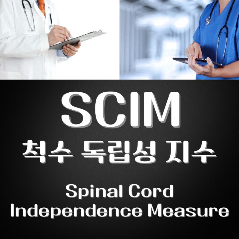 [척수손상·사지마비·하지마비 후유장해(장애)] SCIM-III(Spinal Cord Independence Measure, 척수 ...