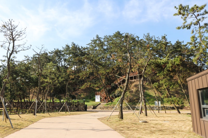 겨울 당일치기 여행 추천 충남 서천 동백나무숲 서천가볼만한곳 동백섬 네이버 블로그