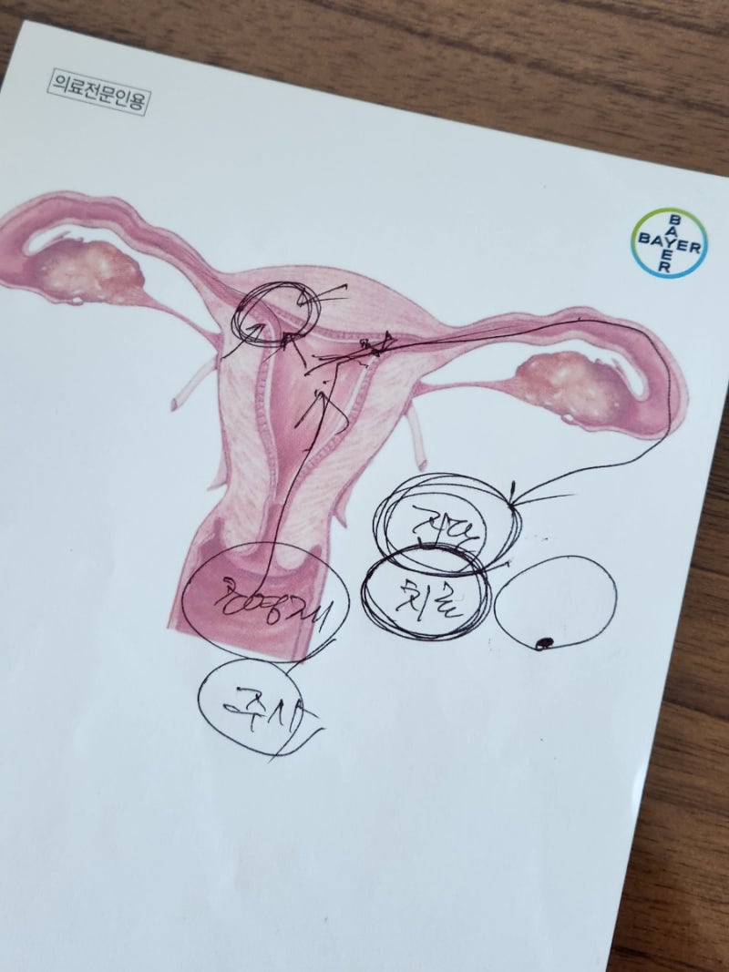 P 18 포항여성병원 난임검사 나팔관 조영술 후기 비용 네이버 블로그