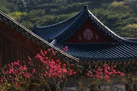 : 네이버 블로그