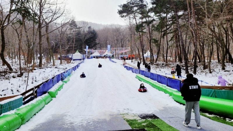 보령여행 무궁화수목원 눈썰매장 2000원의 행복 네이버 블로그