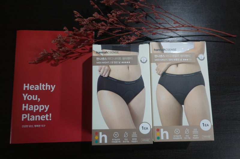 한나센스 생리팬티 입는생리대 편안한 그날 네이버 블로그