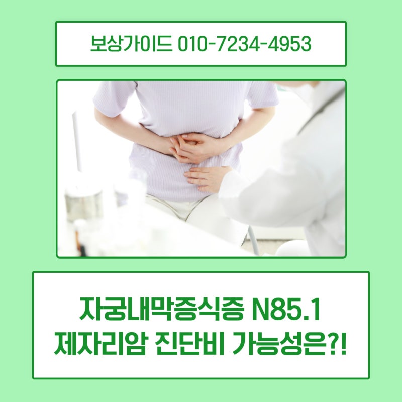 자궁내막증식증 N851 제자리암 진단비 가능성은 네이버 블로그