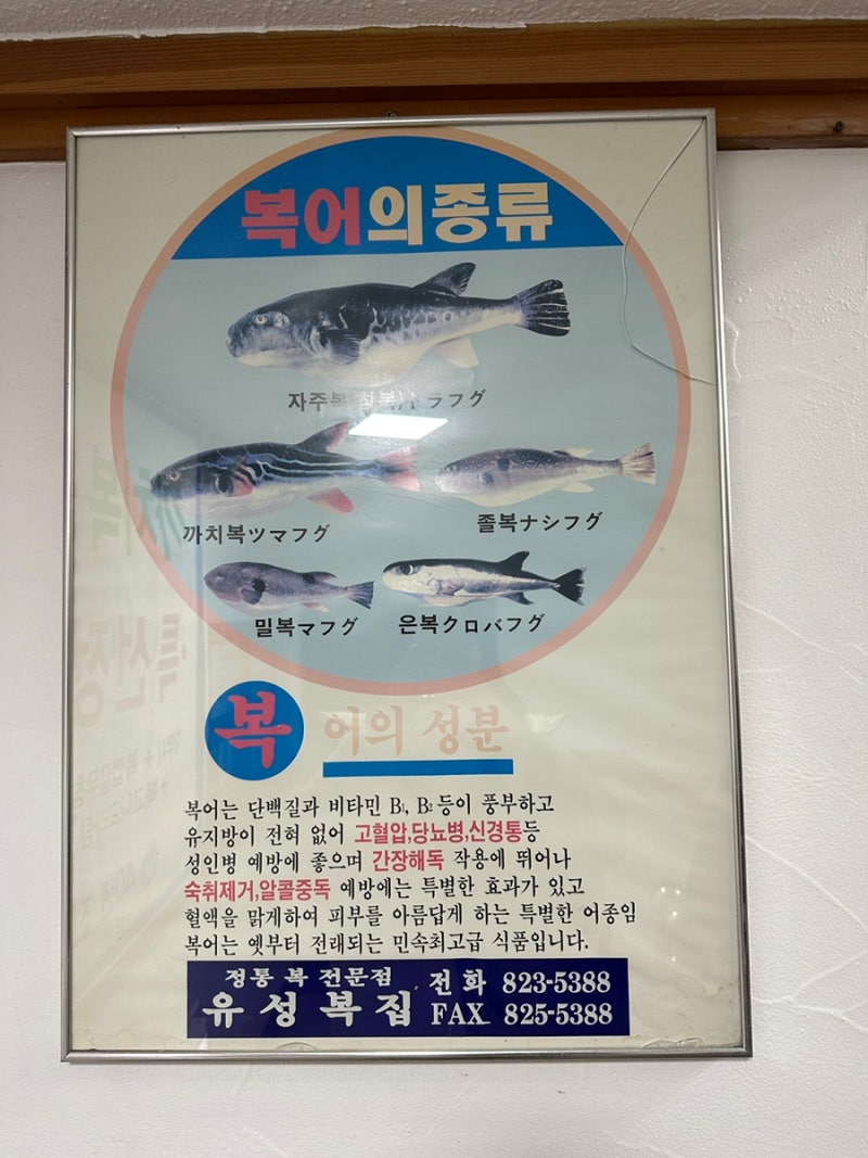 대전봉명동맛집 유성복집 든든하게 몸보신하기 좋은 복국맛집 네이버 블로그