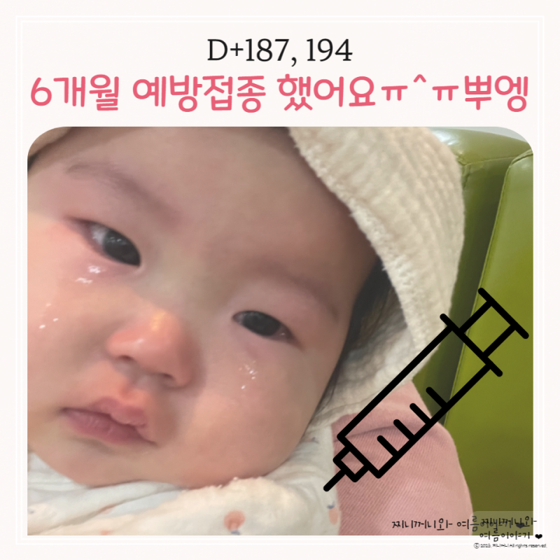 6개월 아기 예방접종 독감주사 B형간염 펜탁심 프리베나13 네이버 블로그