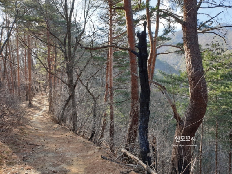 경북 울진 응봉산 최단코스 등산코스 1일3산 블랙야크100대명산a코스 네이버 블로그