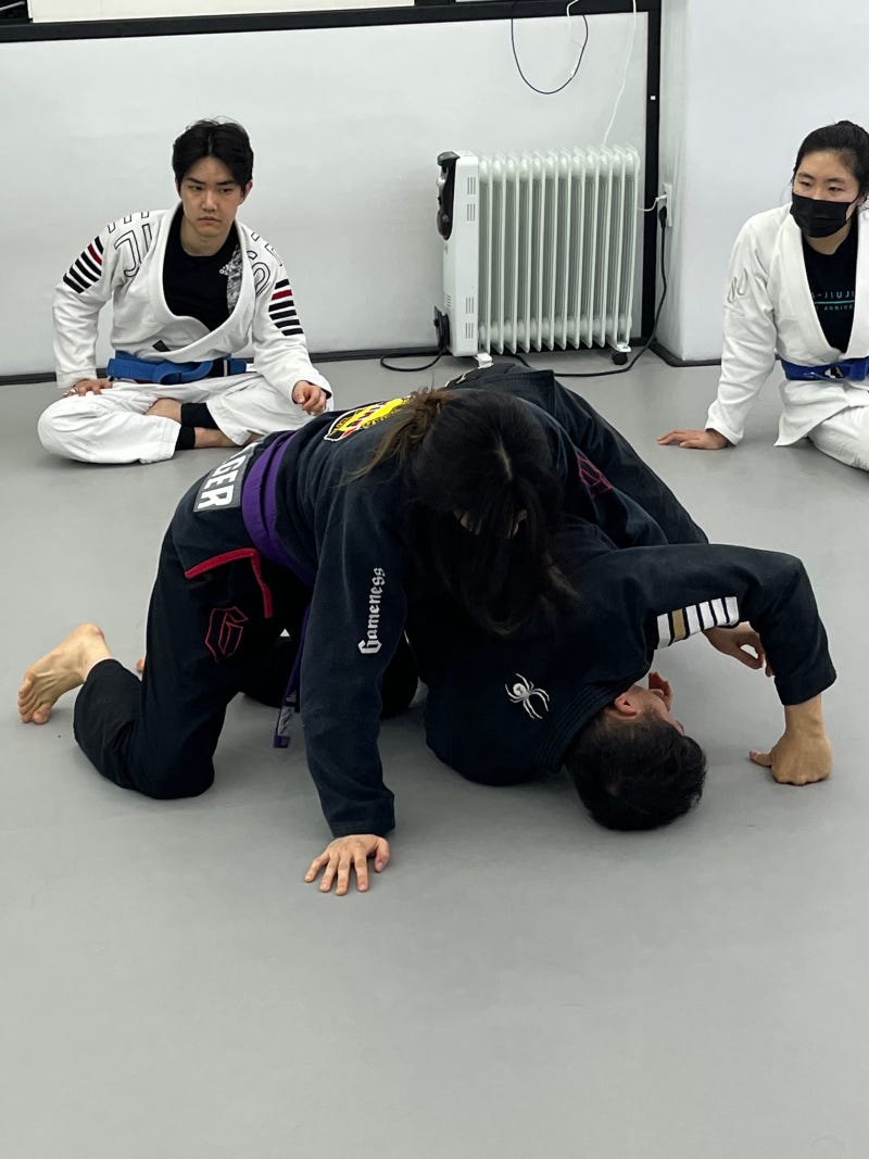 망원주짓수 망원와이어주짓수 2월 첫째주 일상 ㅎㅎ 네이버 블로그
