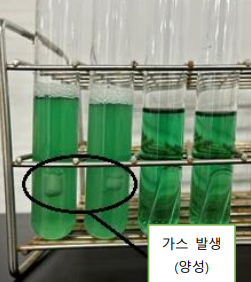 [SGS] 대장균군 시험법 : 네이버 블로그