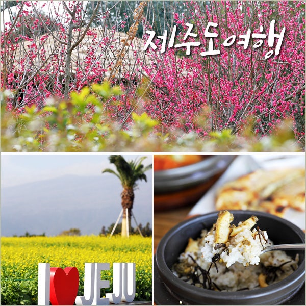 2월 제주도 여행 추천 서귀포 여행 코스 제주 관광지 네이버 블로그