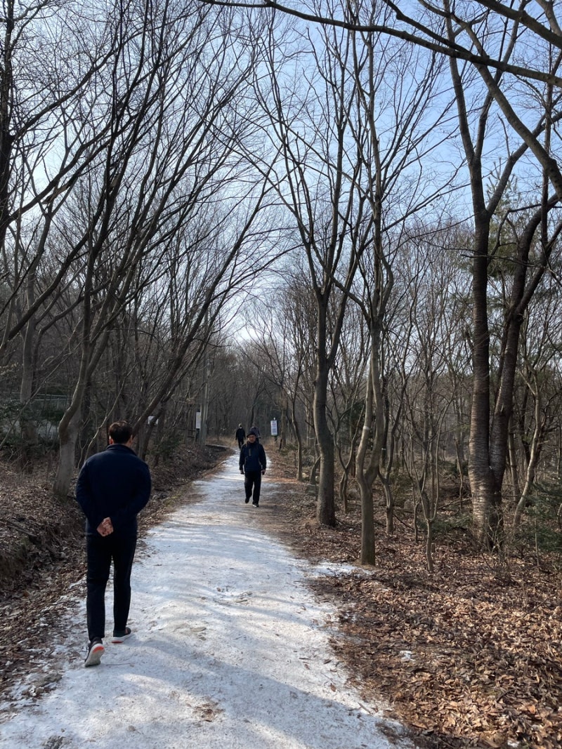 북한산 둘레길 코스 추천8구간은 걷기 정말 좋아요ft주차 네이버 블로그
