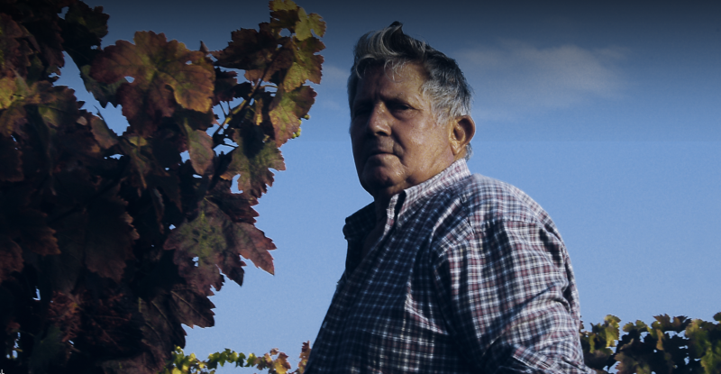 Bodega Contador - Benjamin Romeo (스페인 리오하 와인)-5 : 네이버 블로그