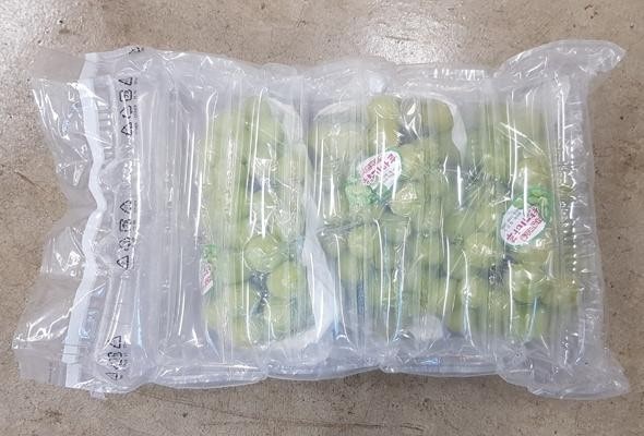 샤인머스켓택배포장 포도택배포장 샤인머스켓에어셀포장 샤인머스켓에어패킹 샤인머스켓에어팩포장 네이버 블로그