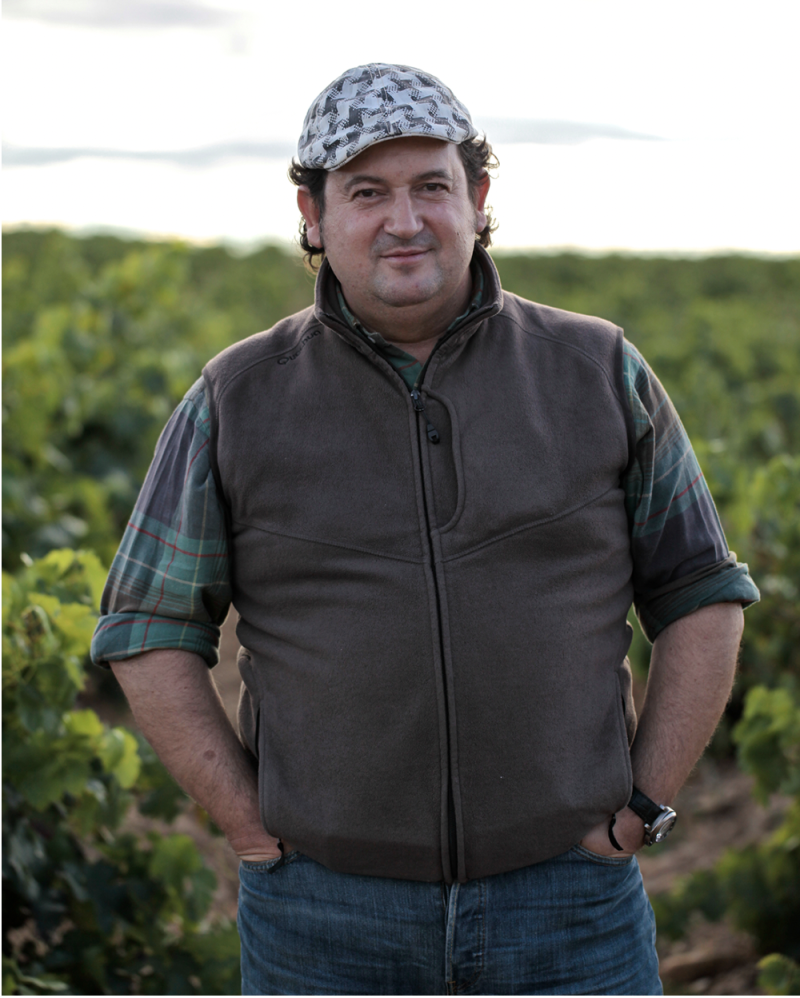 Bodega Contador - Benjamin Romeo (스페인 리오하 와인)-5 : 네이버 블로그