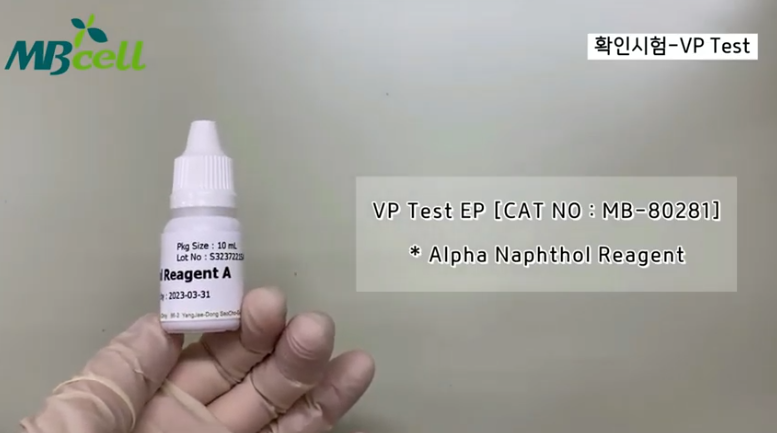 [식품공전] 바실루스 세레우스 분리배양과 확인시험 알아보기/ Bacillus cereus/ 유튜브 영상자료 확인! : 네이버 블로그