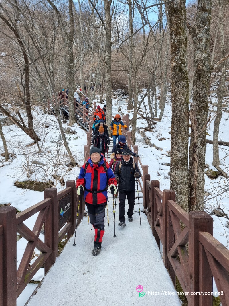 태백산 눈꽃산행 등산코스 And 제30회 태백산 눈축제 네이버 블로그
