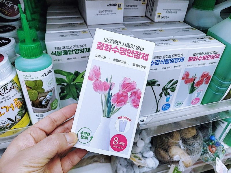 다이소 식물영양제 수경재배 화초영양제 알비료 원예용품 추천템 네이버 블로그