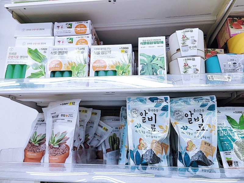 다이소 식물영양제 수경재배 화초영양제 알비료 원예용품 추천템 네이버 블로그