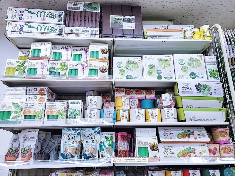 다이소 식물영양제 수경재배 화초영양제 알비료 원예용품 추천템 네이버 블로그