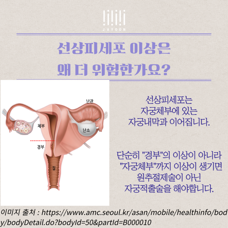 자궁경부암 비정형선상피세포agc 편평상피세포이상ascus Asc H보다 위험자궁내막암과 면역력자윤한의원 네이버 블로그
