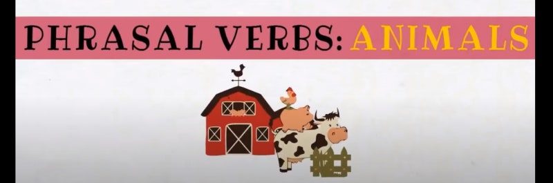 동물 영어표현 [구동사] Animals phrasal verbs 재미있는 : 네이버 블로그