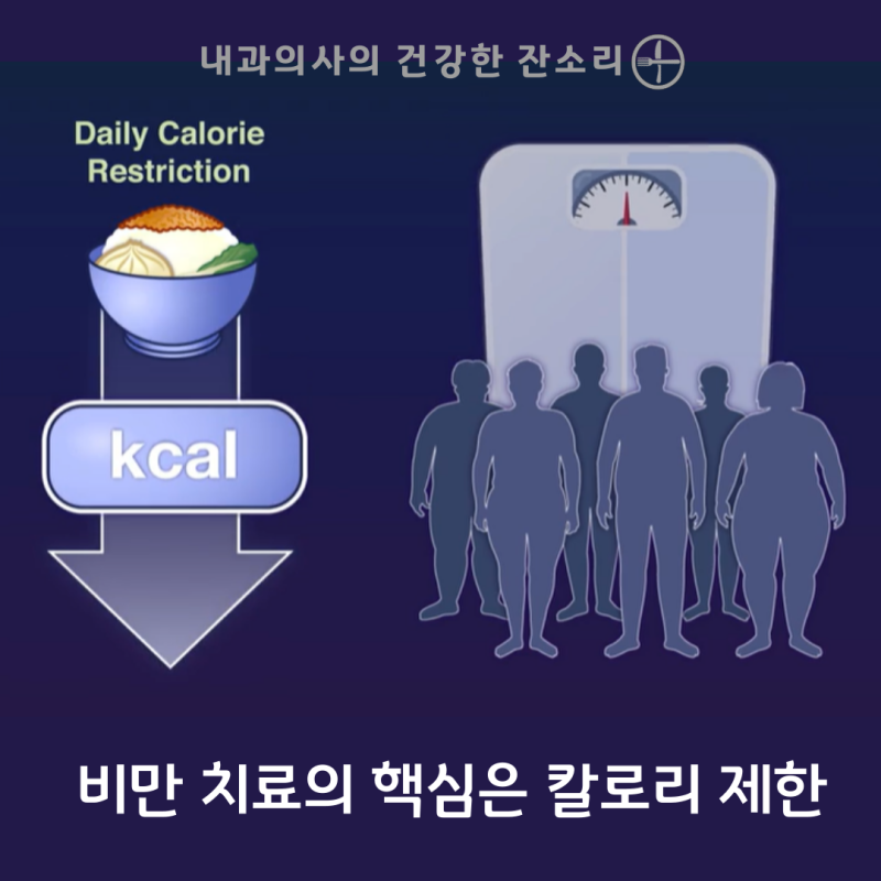 간헐적 단식 다이어트 효과 있는 걸까 논문으로 알아보는 간헐적 단식 방법 효과 네이버 블로그